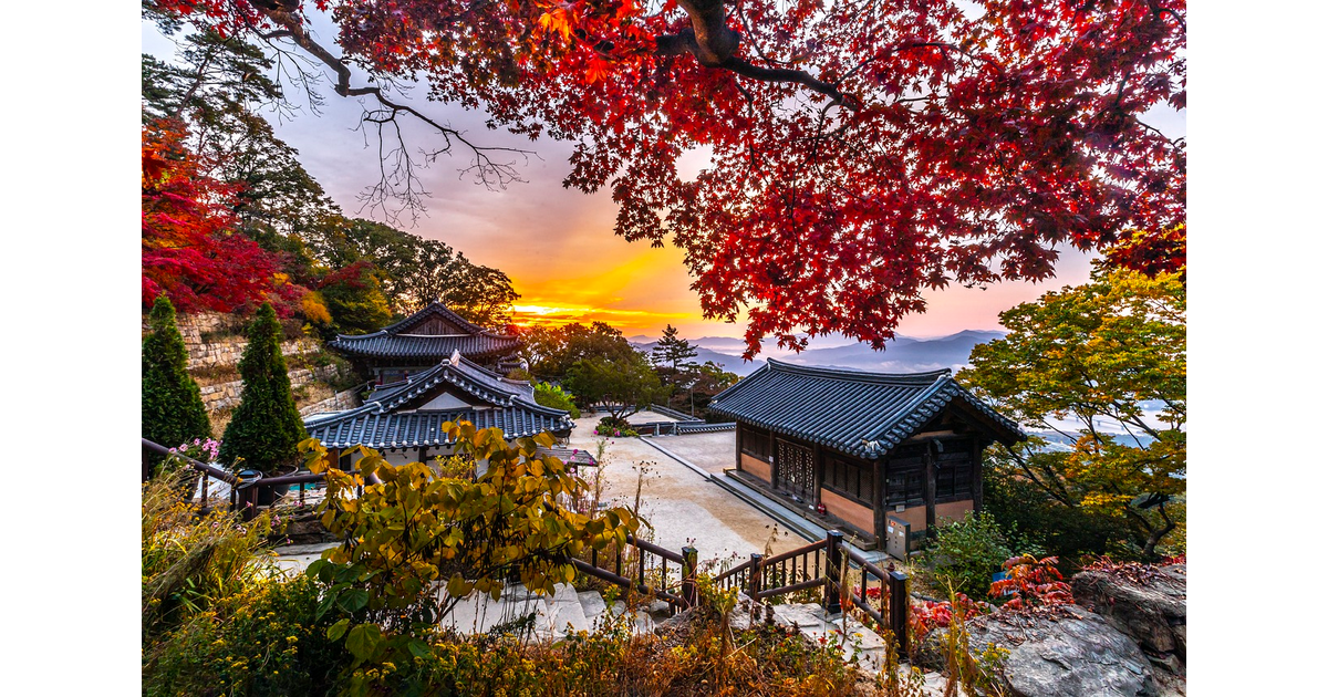 Expert networks in Korea